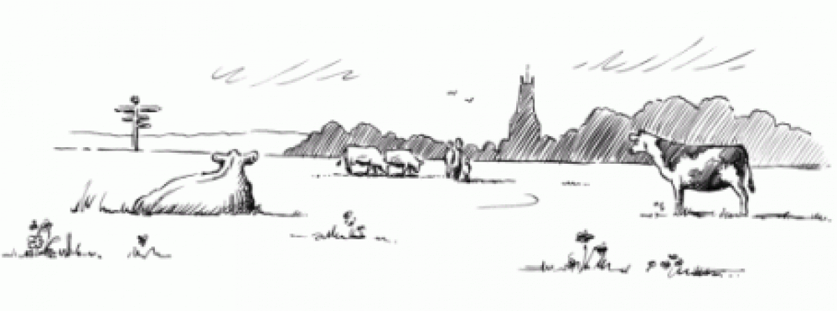 Minchinhampton Surgery - Directory - Minch Life